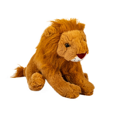 SIGNATURE LION – Sydney Zoo